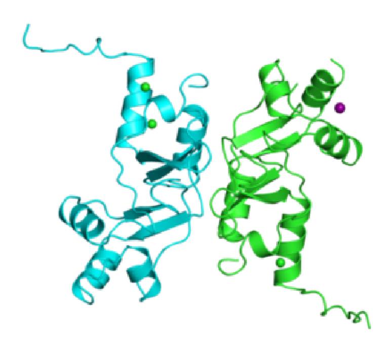 Voltage-gated chloride channel impairing toxin ~ VenomZone
