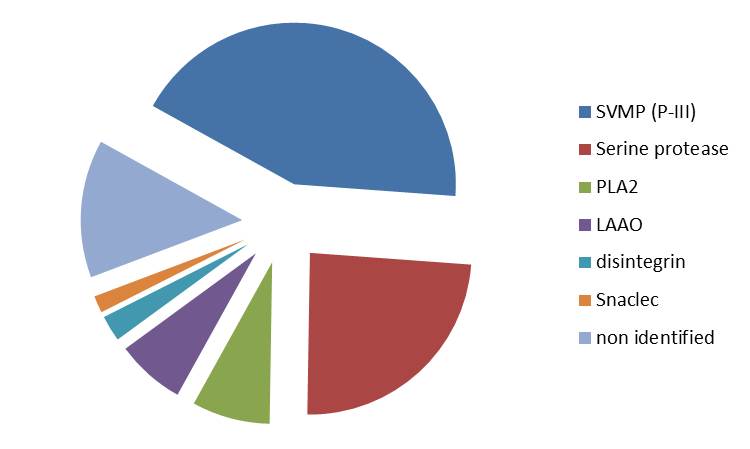 Bothrops alternatus ~ VenomZone
