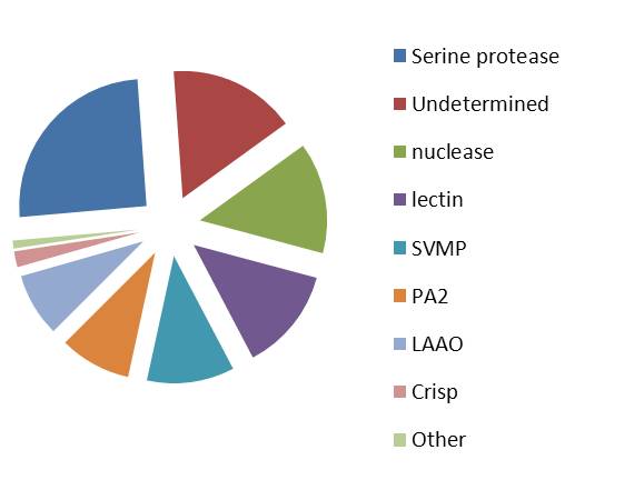 Crotalus adamanteus ~ VenomZone